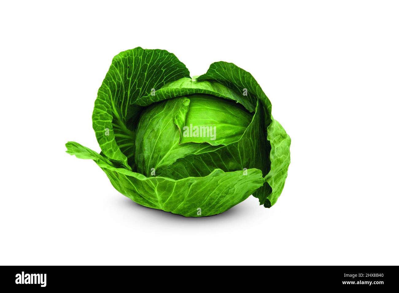 Cabbage on display Stock Photo - Alamy