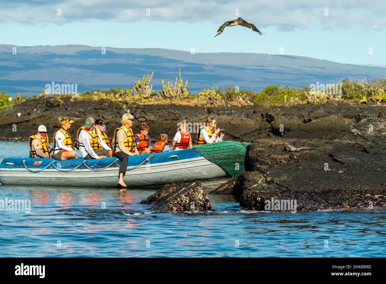 Tourists explore Isla Isabella from the water; Galagos Islands, Ecuador ...