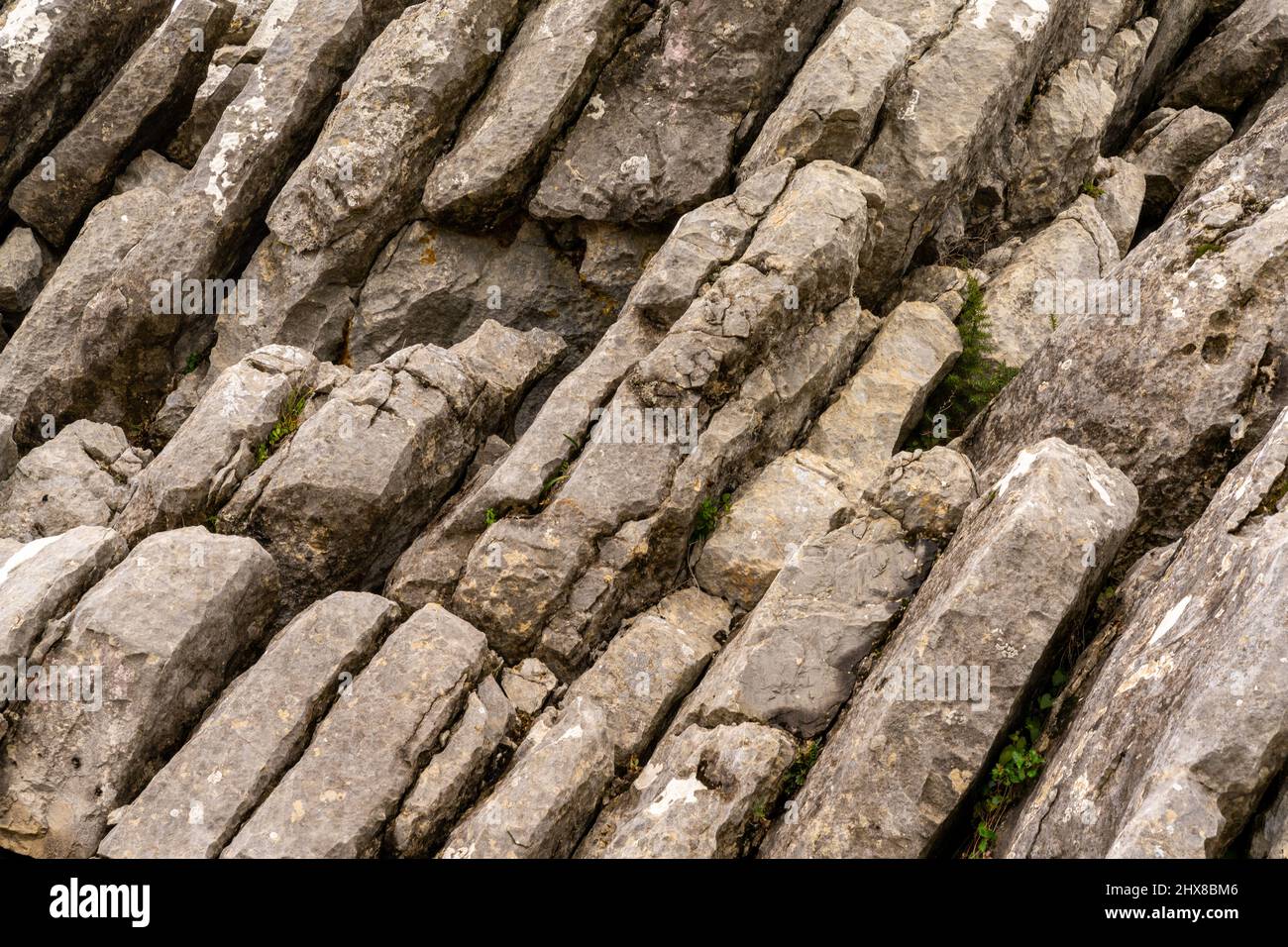 A close up view of layered limestone and karst rock formation in the ...