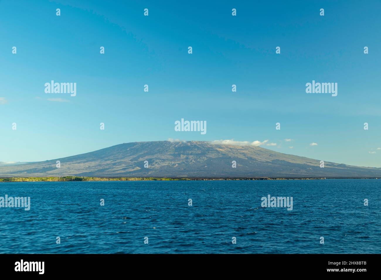 Photograph of Isla Isabella, Gal‡pagos Islands, Ecuador Stock Photo - Alamy