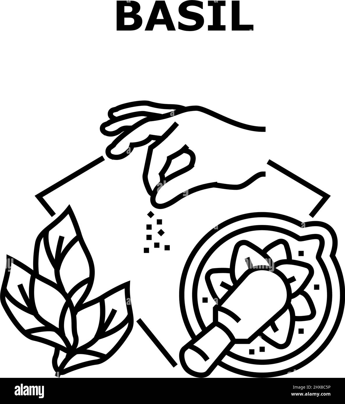 Basil Spice Vector Concept Black Illustration Stock Vector Image & Art ...