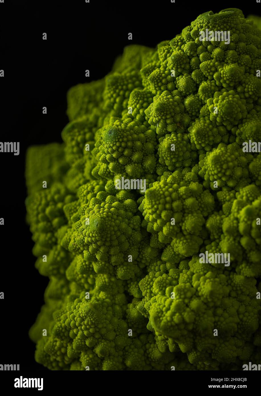 Fractal pattern on green leaf hi-res stock photography and images - Alamy