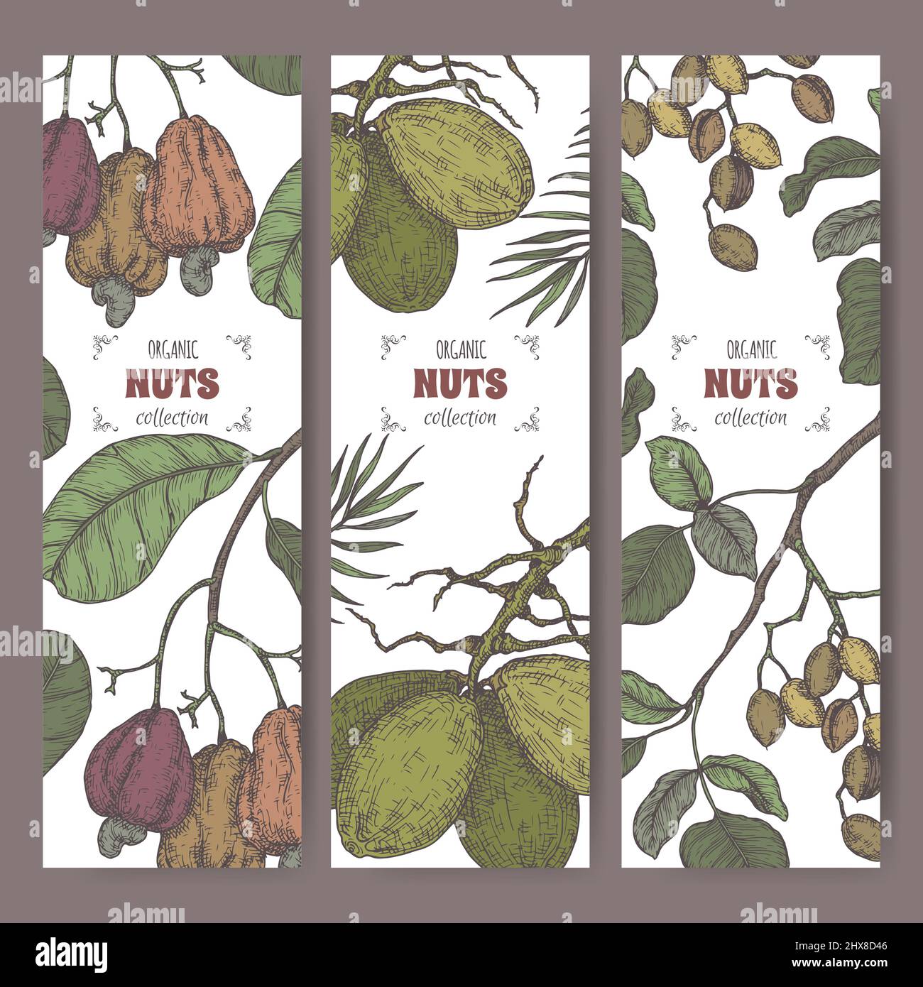 Pistachio tree drawing hi-res stock photography and images - Alamy