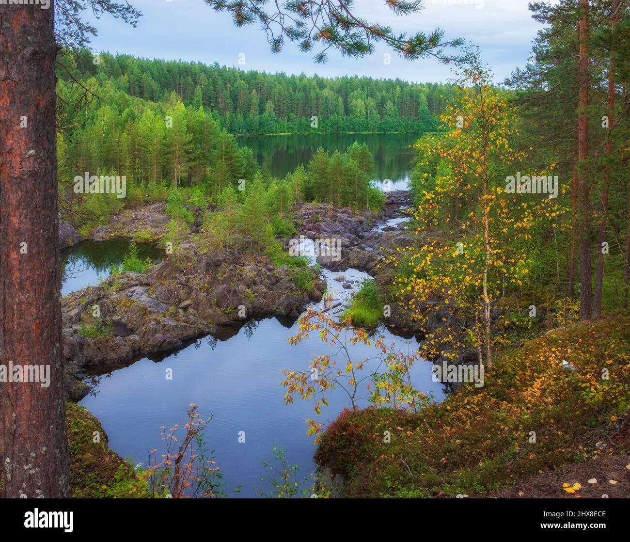 Poor porog, threshold, on river Suna Karelia, Russian landscape summer ...