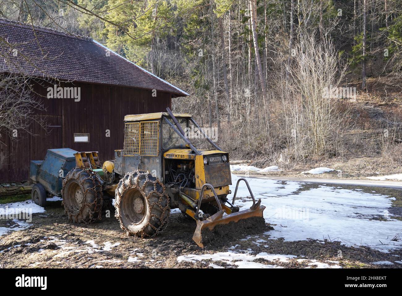 Old yellow forest wheel tractor LKT 81 with snow chains on all wheels ...