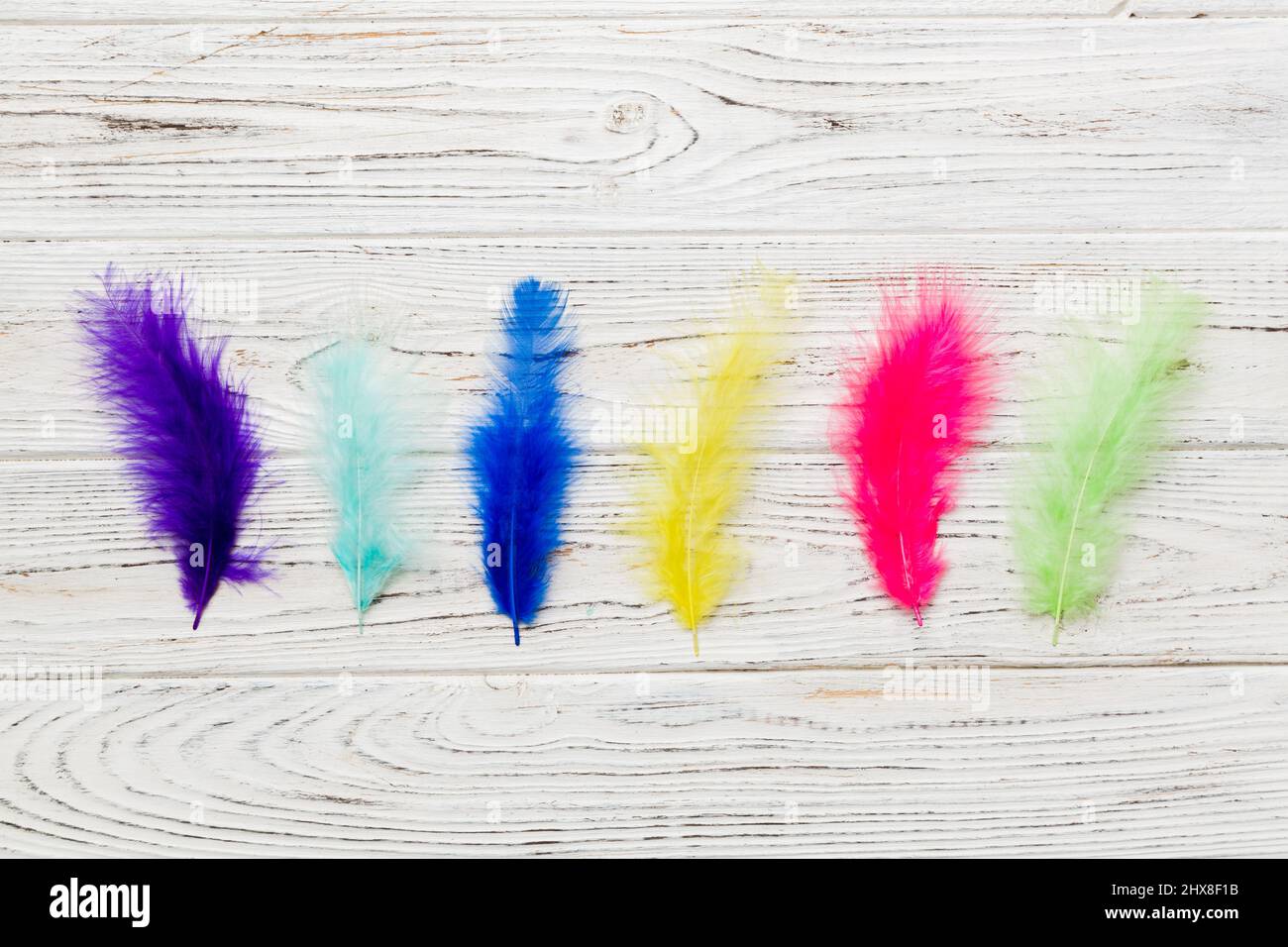 background of brightly colored dyed bird feathers on Colored background ...