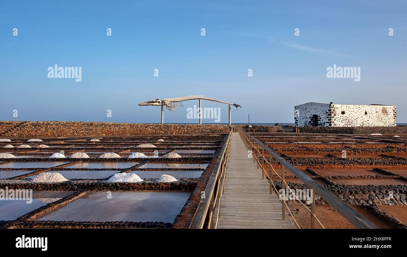 Old-fashioned saltwork pools used to produce a crystal clear white pure ...