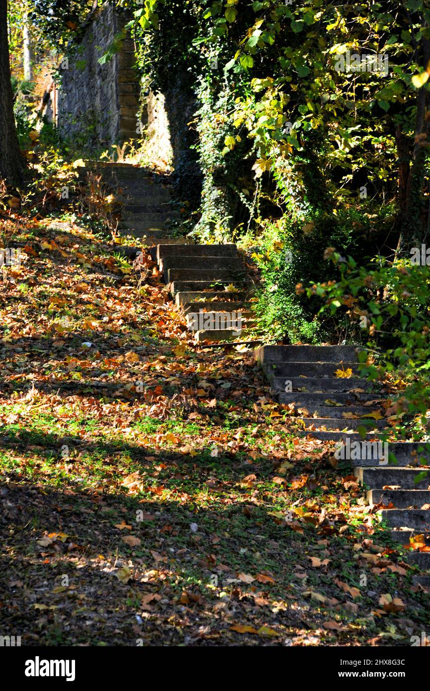 Concrete steps climb a steep hill mostly in shadow and darkness. But ...