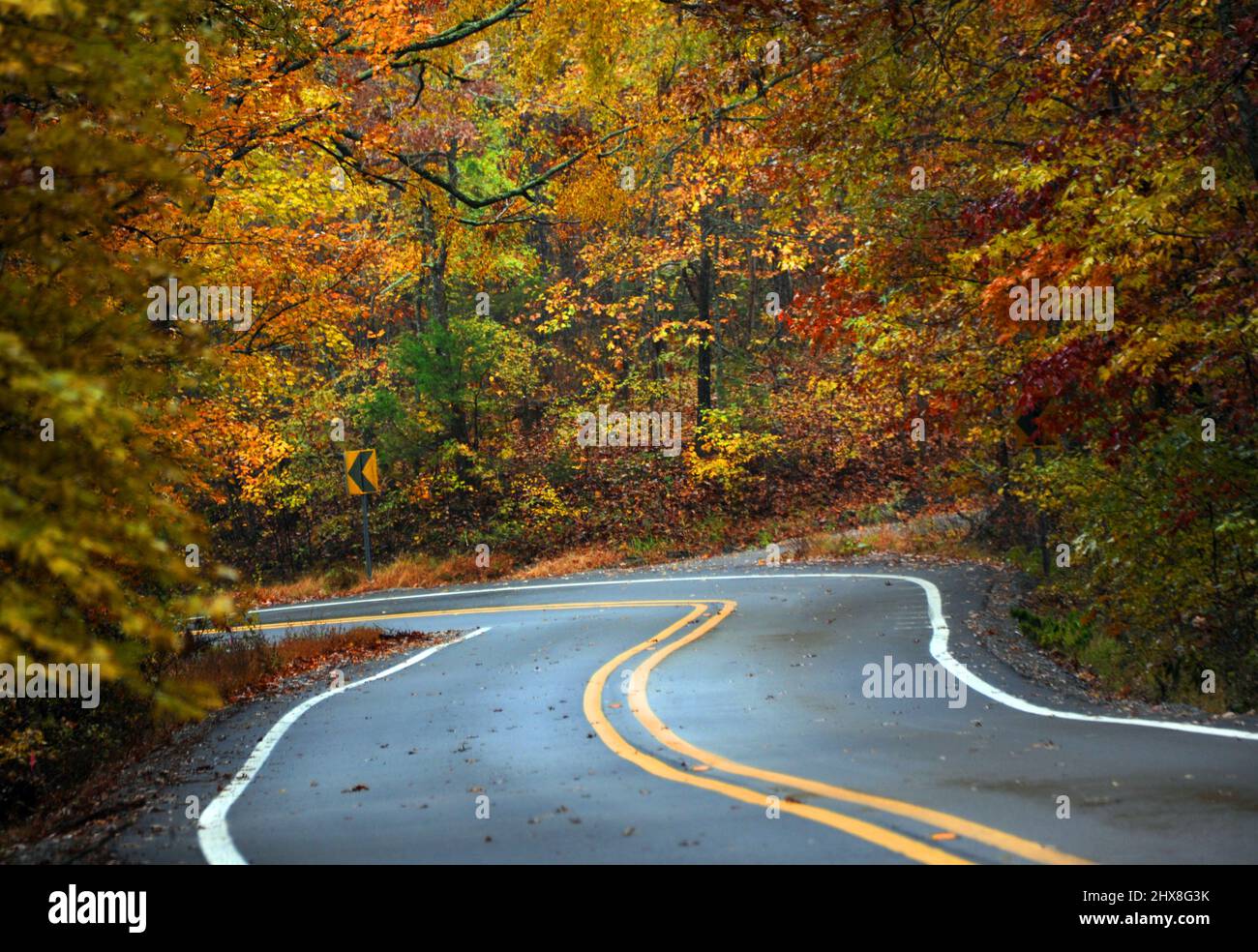Curvy road winds through the Ozark Mountains on a wet Fall day. Road ...