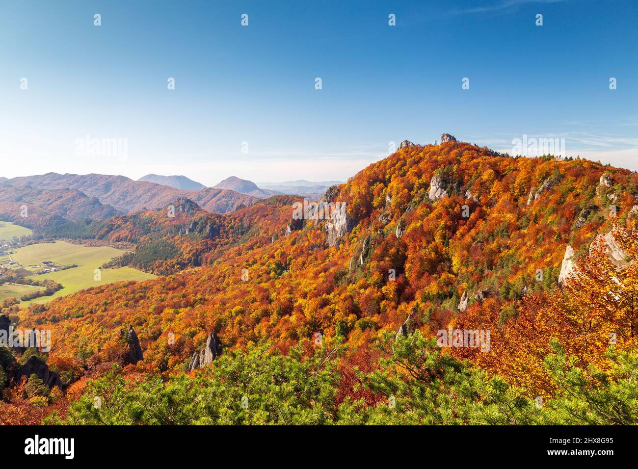 Brightly colored forests of mountains at autumn. National Nature ...