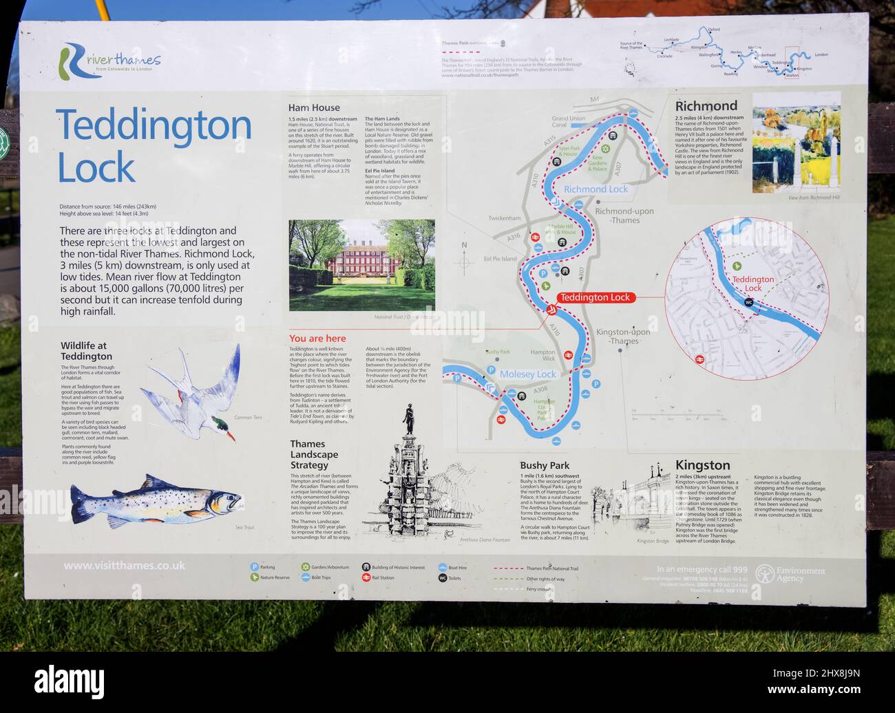 teddington lock information board on the river thames london Stock ...
