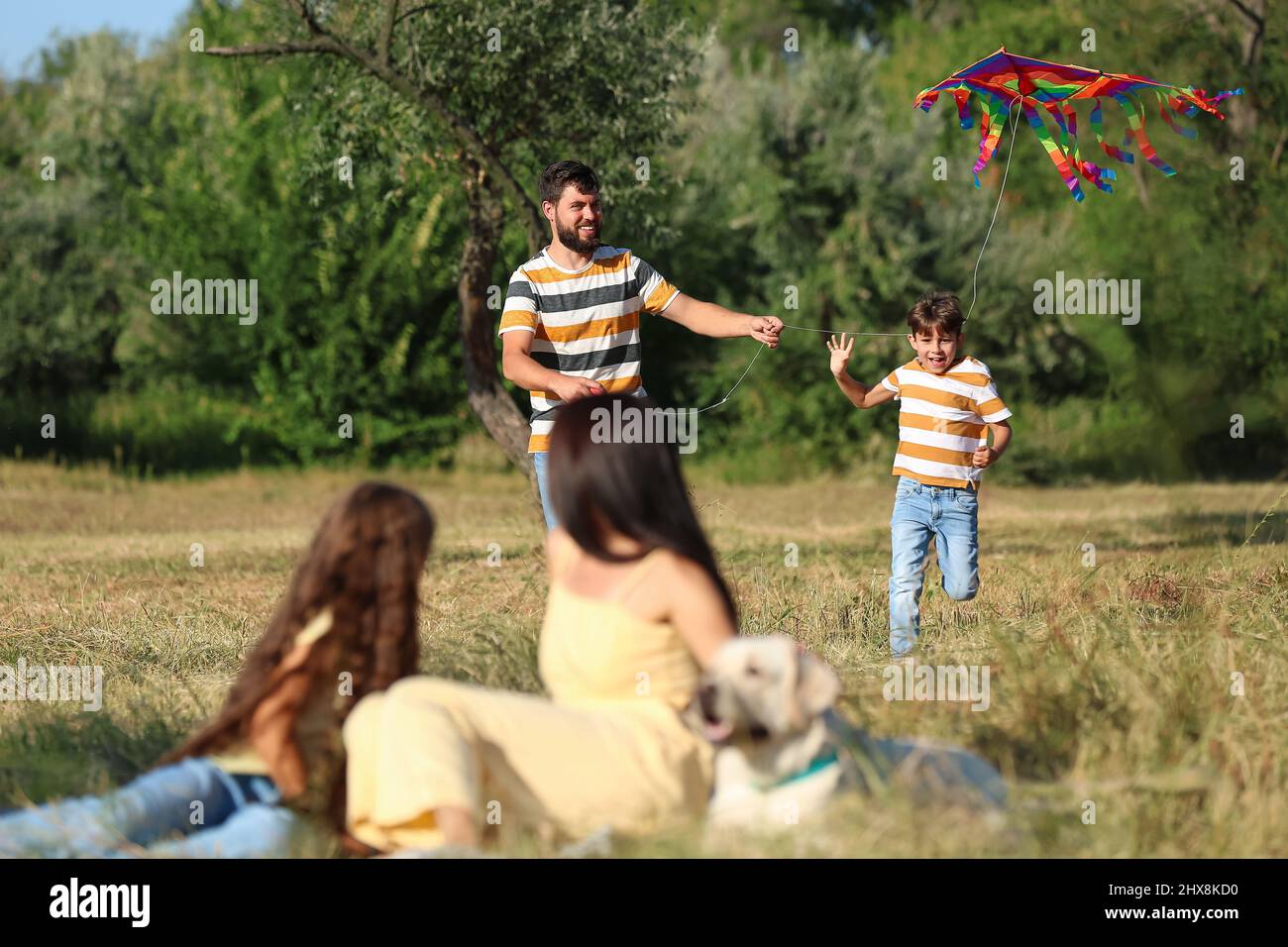 Cute little boy flying kite with his father outdoors Stock Photo - Alamy