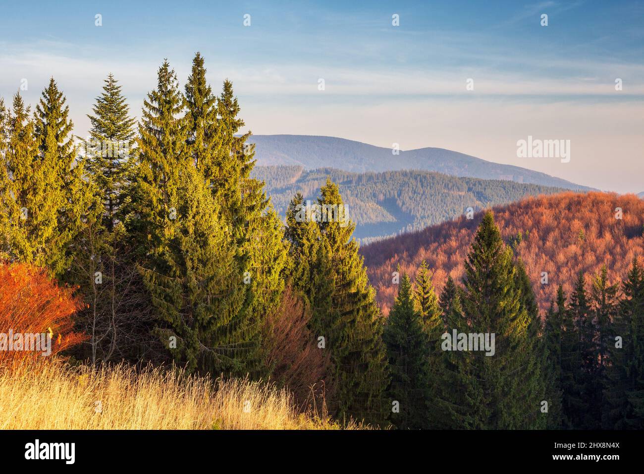 Beskydy hi-res stock photography and images - Alamy