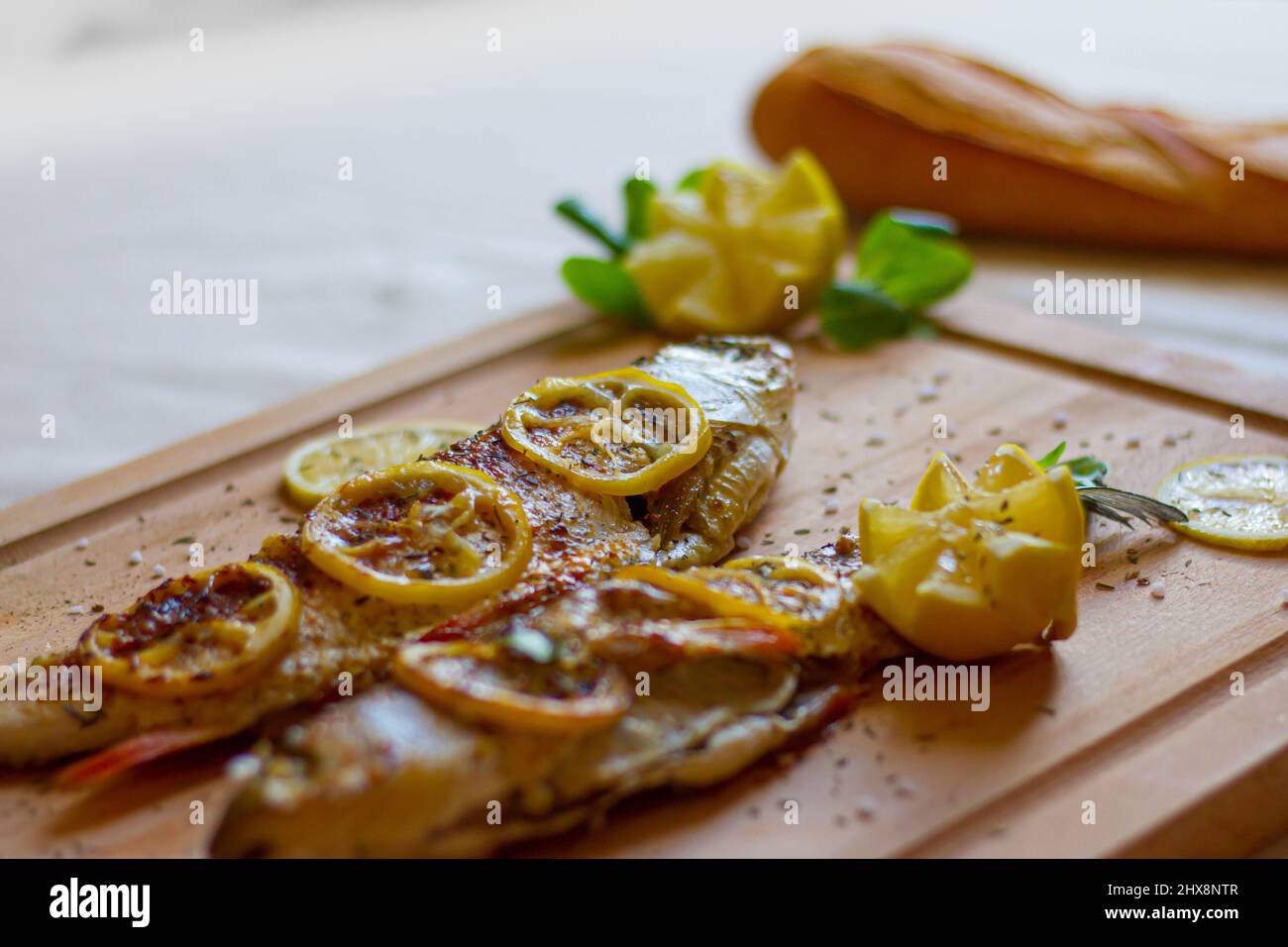 Chub fish hi-res stock photography and images - Alamy