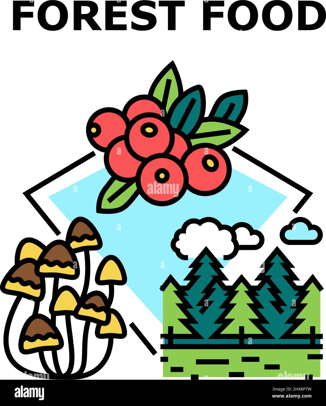 Forest Food Vector Concept Color Illustration Stock Vector Image & Art ...