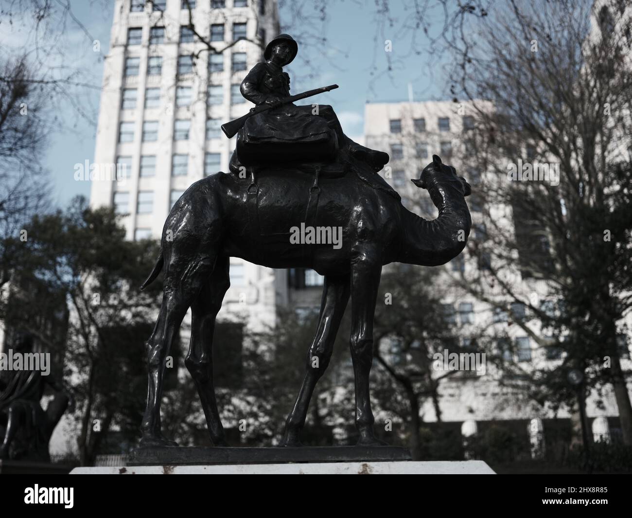 Camel corps memorial hi-res stock photography and images - Alamy