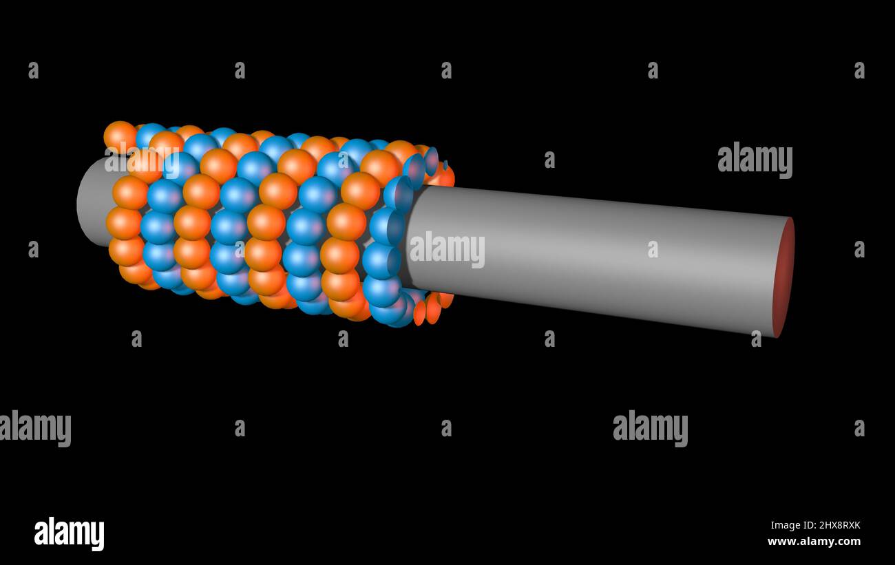 Protein filament hi-res stock photography and images - Alamy