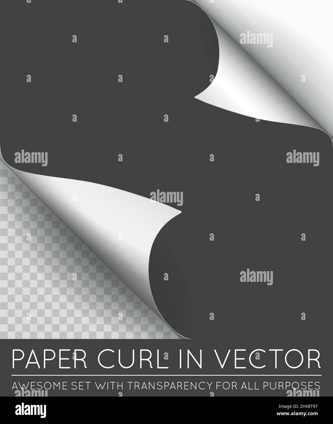 Vector Paper Page Curl with Shadow Isolated Stock Vector Image & Art ...