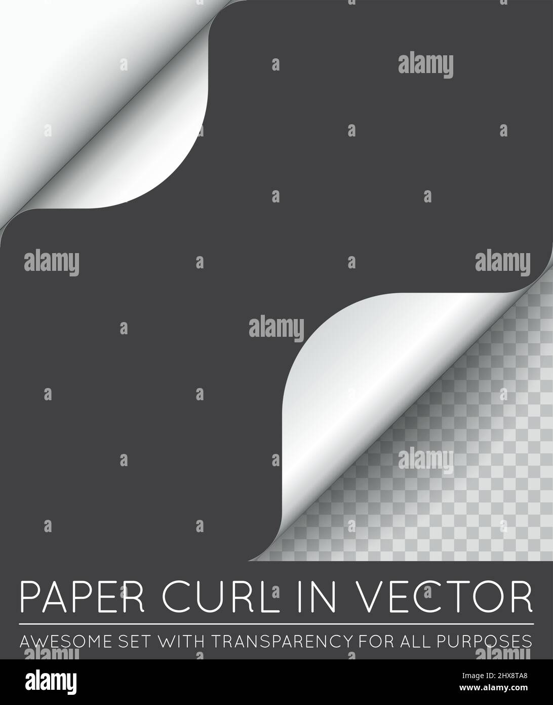 Vector Paper Page Curl with Shadow Isolated Stock Vector Image & Art ...