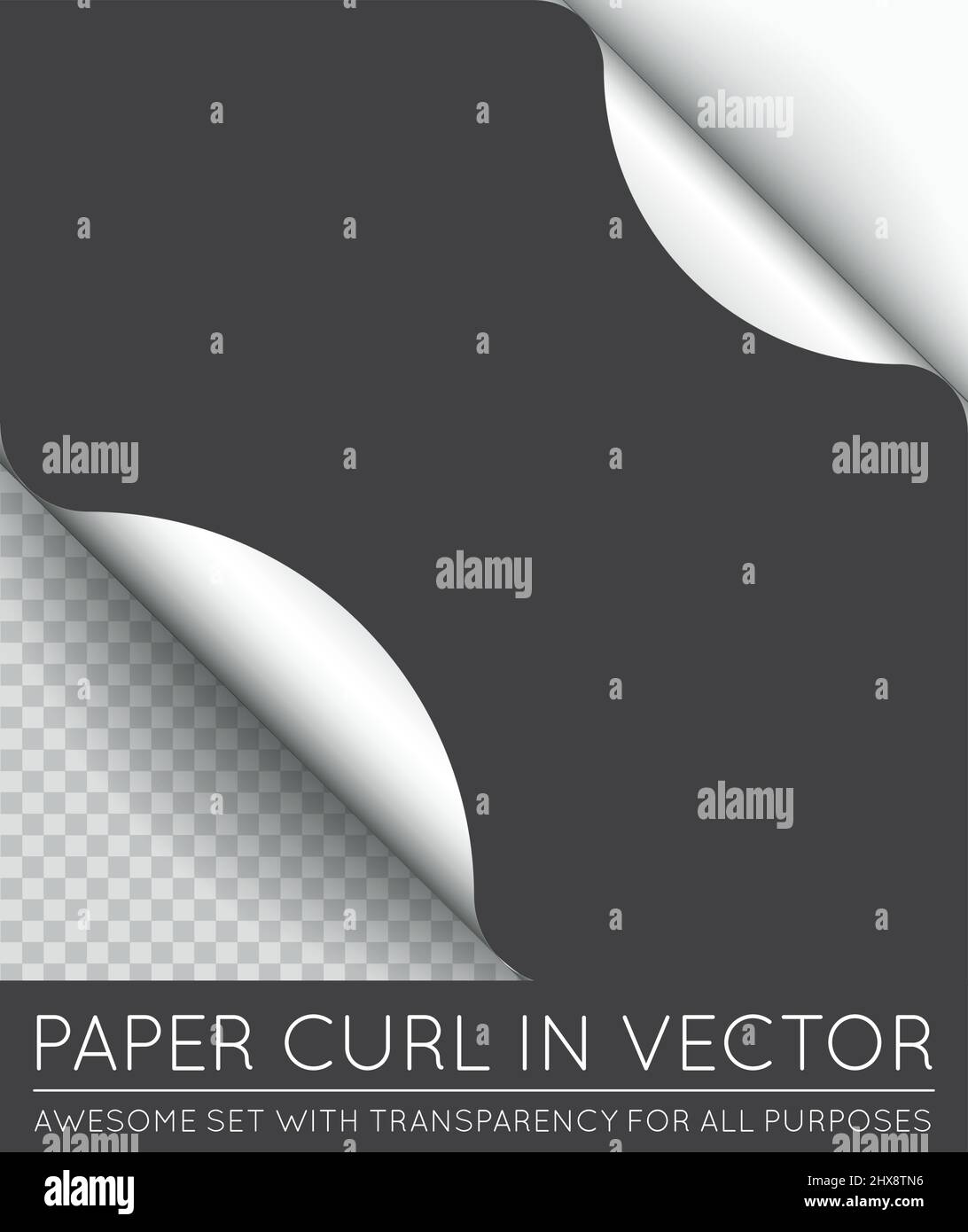 Vector Paper Page Curl with Shadow Isolated Stock Vector Image & Art ...