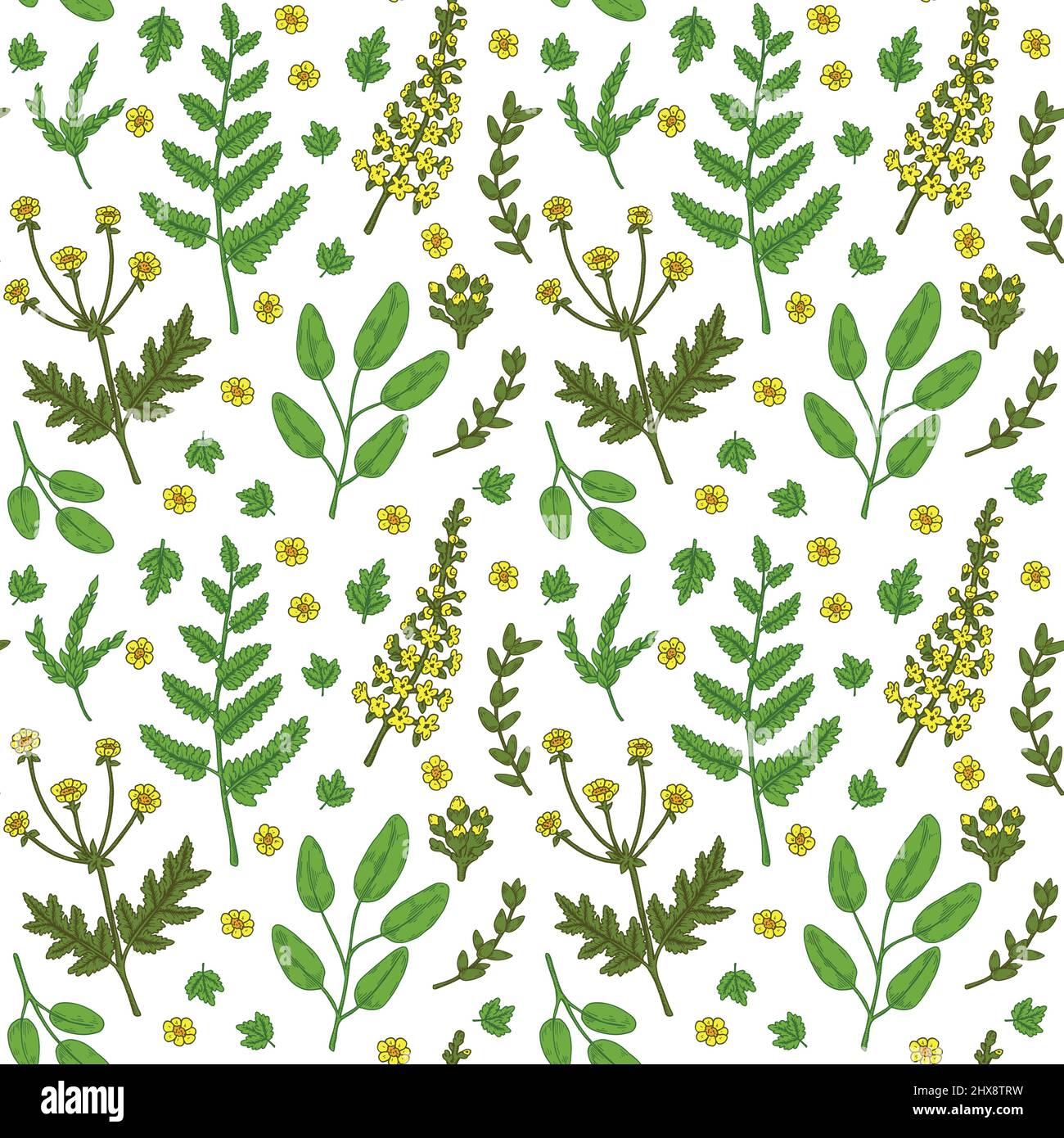 Meadow flowers seamless pattern. Hand drawn vector illustration Stock ...