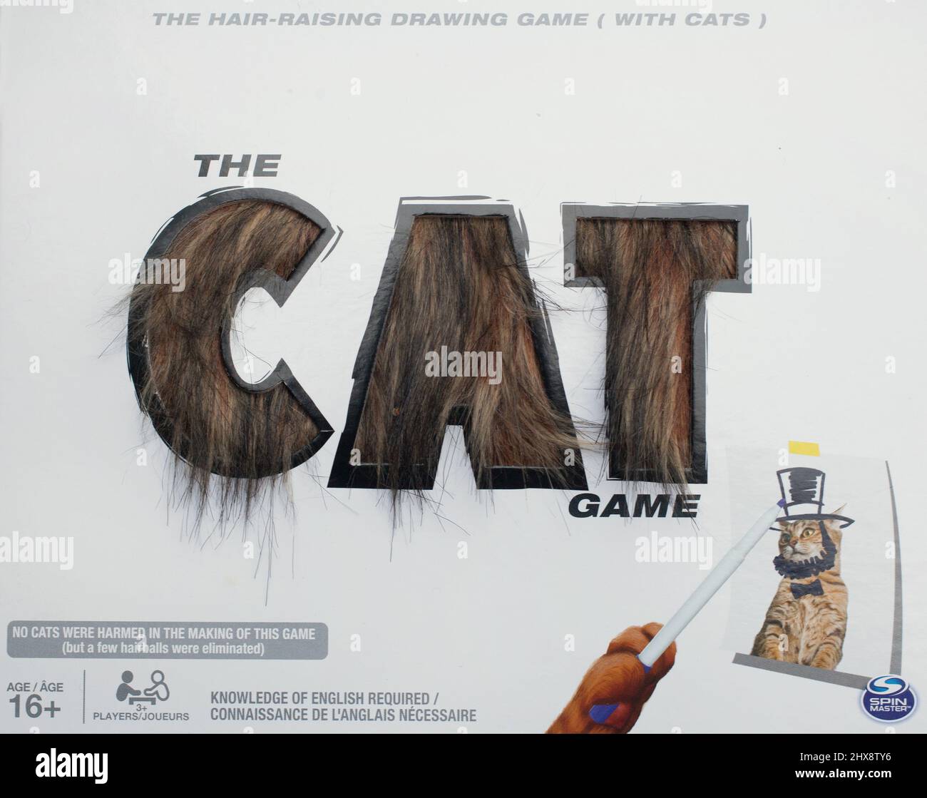 Cat board game hi-res stock photography and images - Alamy