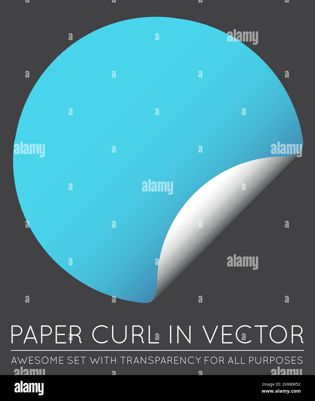 Vector Sticker with Paper Curl with Shadow Isolated Stock Vector Image ...