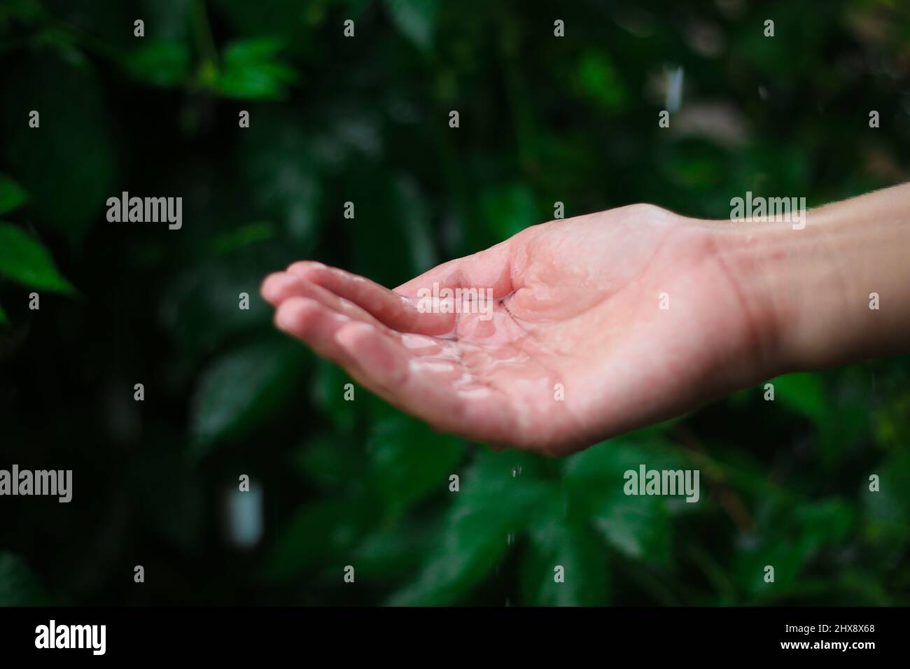 hand of thirteen years old boy catching raindrops during rain Stock ...