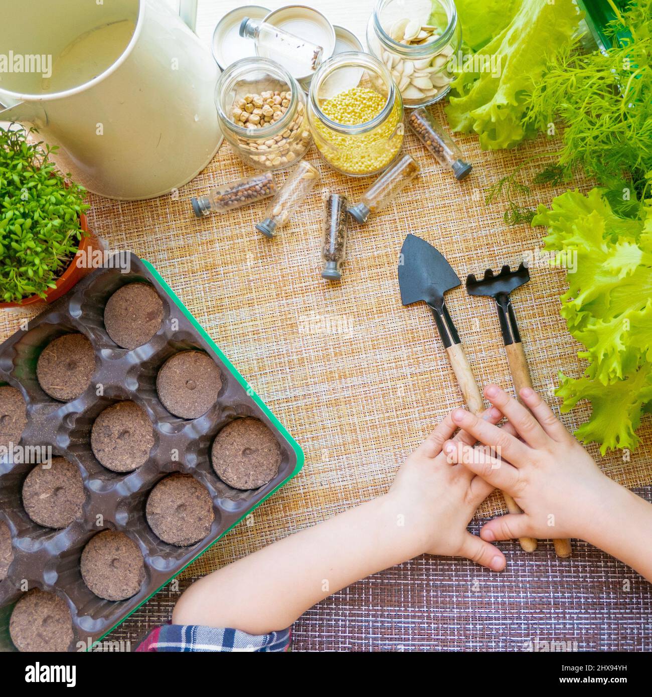 Peat pots, tools and soil are ready for planting seeds. Growing ...