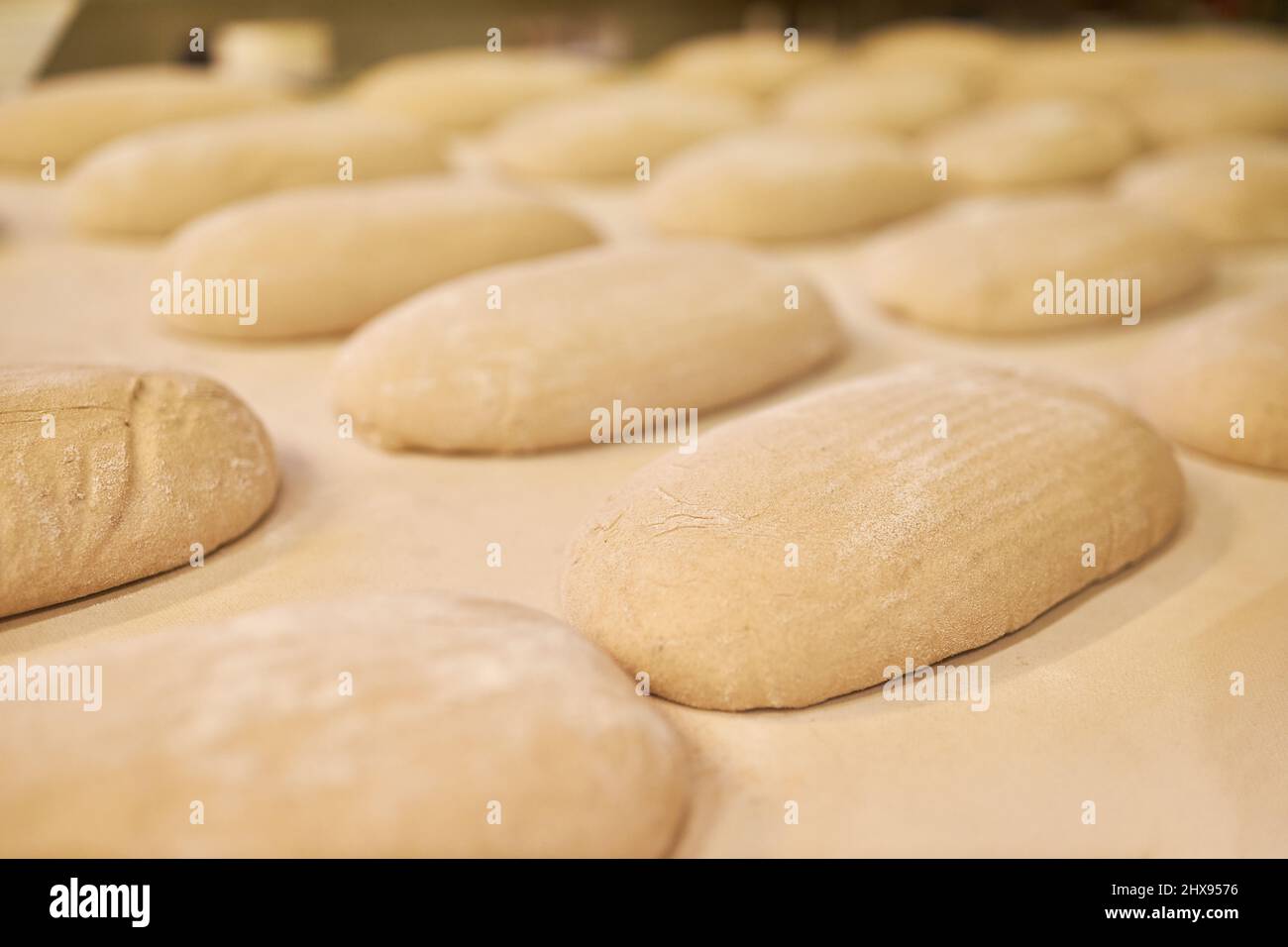 Lots of bread loaves before baking in the bakery Stock Photo - Alamy