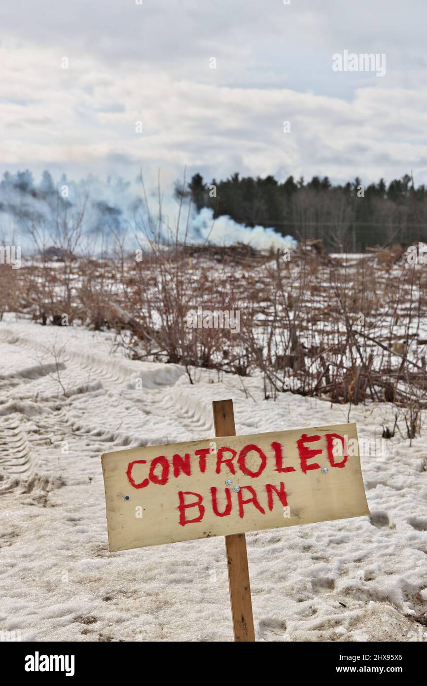 Controlled Burn on a Farm Property where Forest has been Cut Down to ...