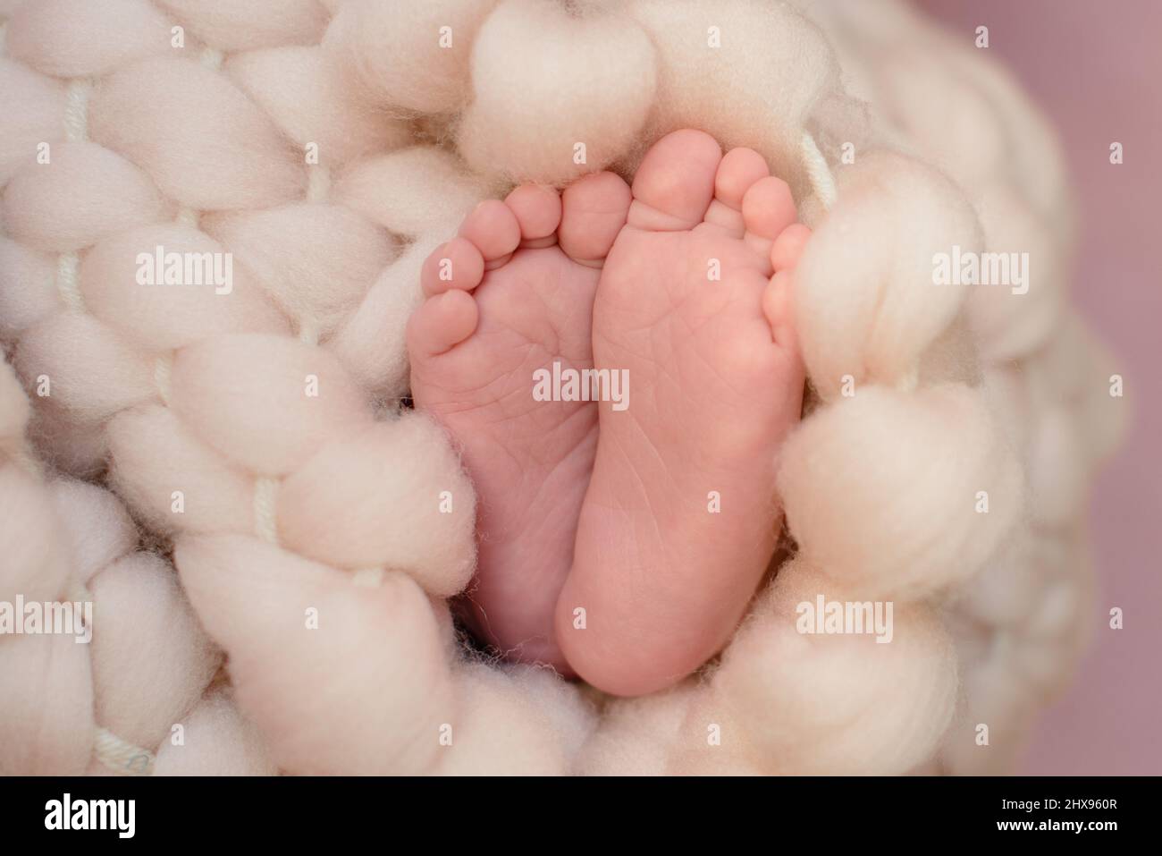 Small beautiful legs of a newborn baby in the first days of life. Baby ...