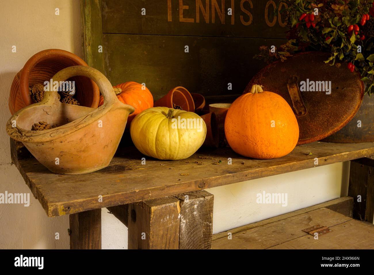 Wooden bench with pumpkins hi-res stock photography and images - Alamy