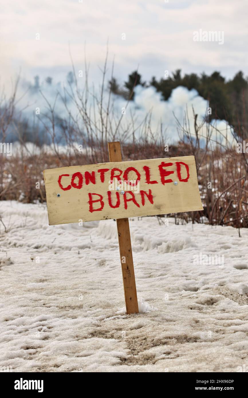 Controlled Burn on a Farm Property where Forest has been Cut Down to ...