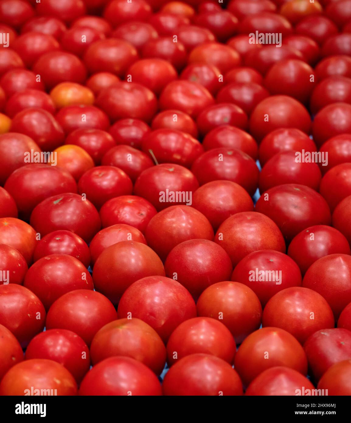 fresh vegetables from Qatar farms Stock Photo - Alamy