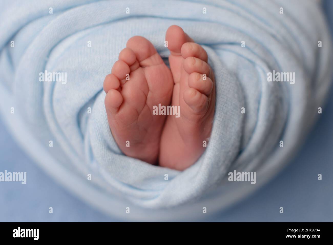Small beautiful legs of a newborn baby in the first days of life. Baby ...