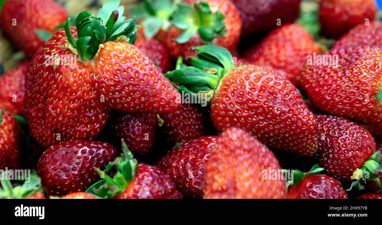Fresh dates in a market Stock Photo - Alamy