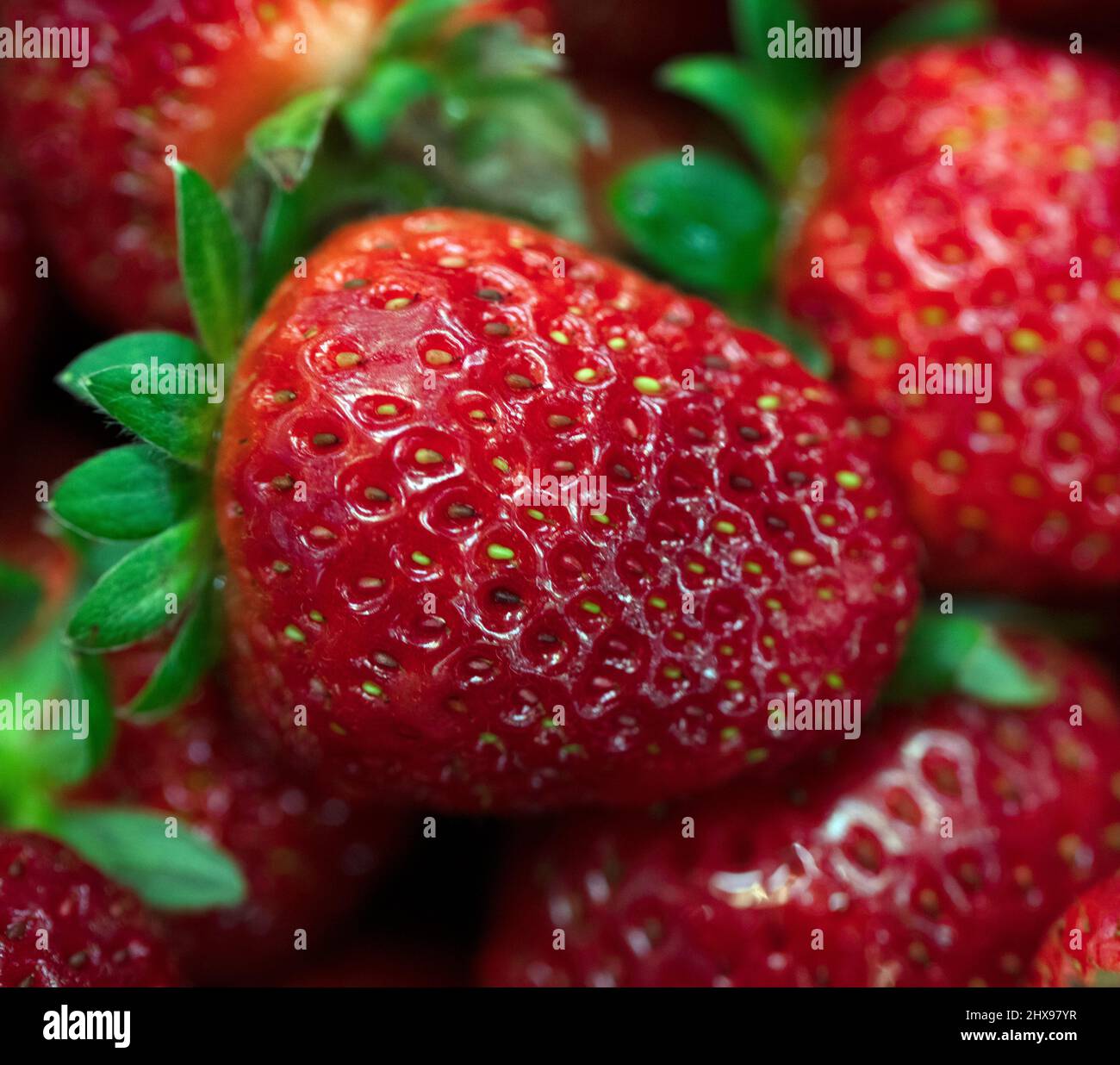 Fresh dates in a market Stock Photo - Alamy