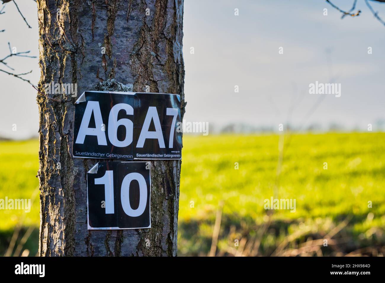 Metal hiking signpost on a tree trunk Stock Photo - Alamy
