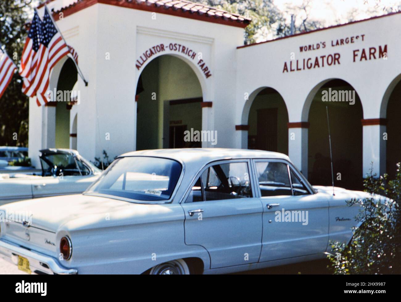Ford Falcon automobile parked outside the World's Largest alligator ...