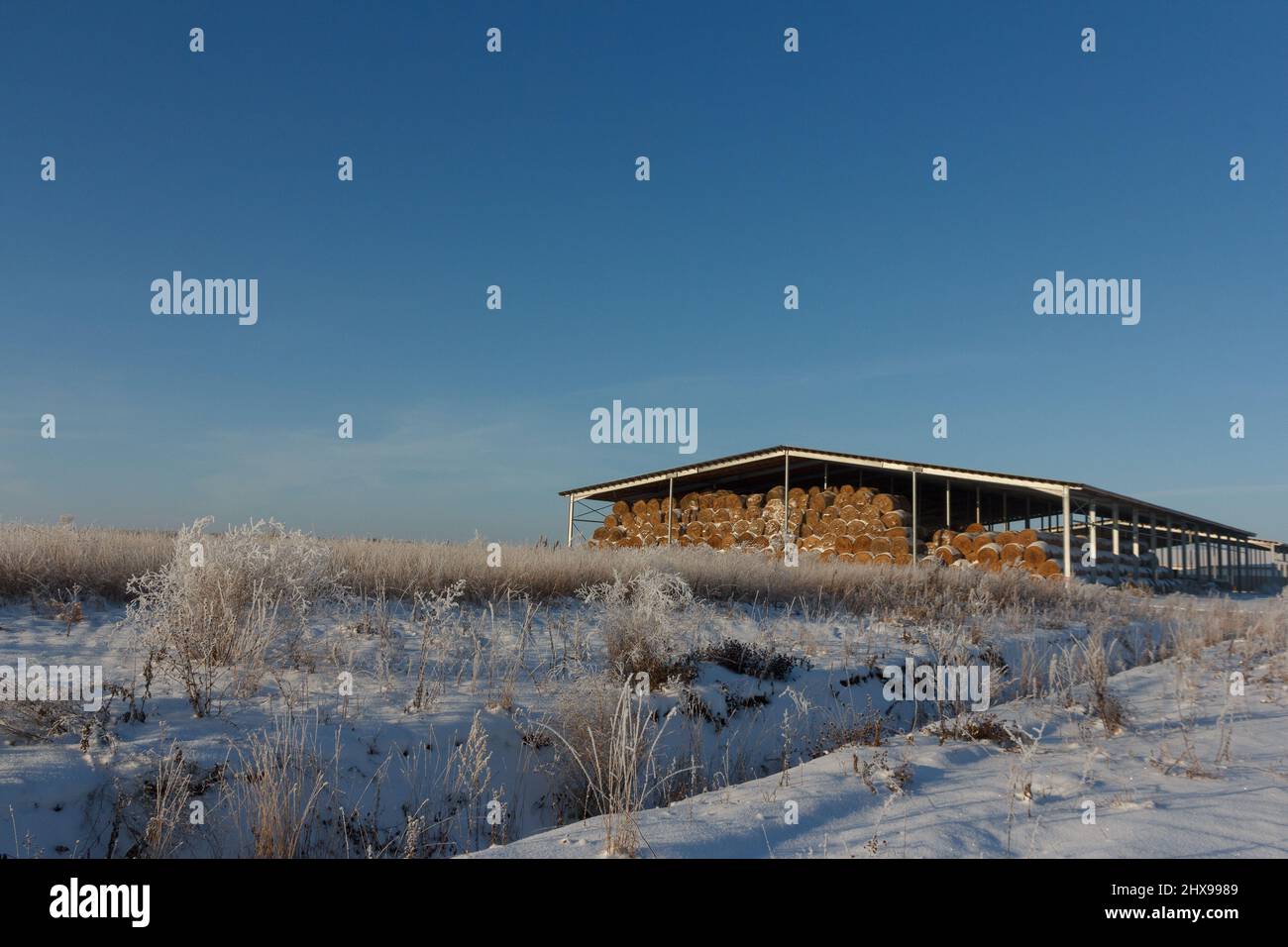 Canopy with hay in winter. Harvesting hay in the winter. Winter storage ...