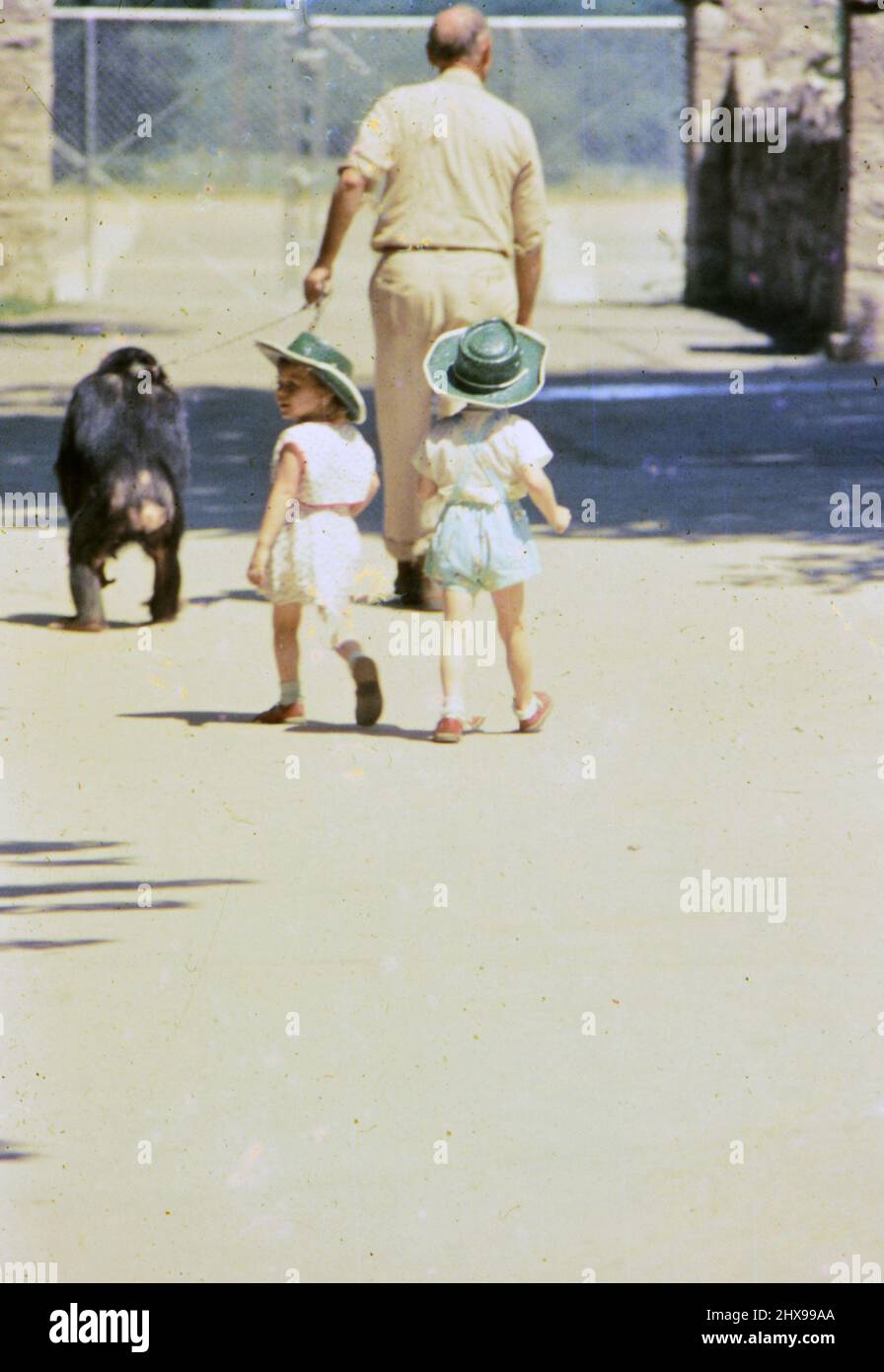 Walking behind a monkey hi-res stock photography and images - Alamy