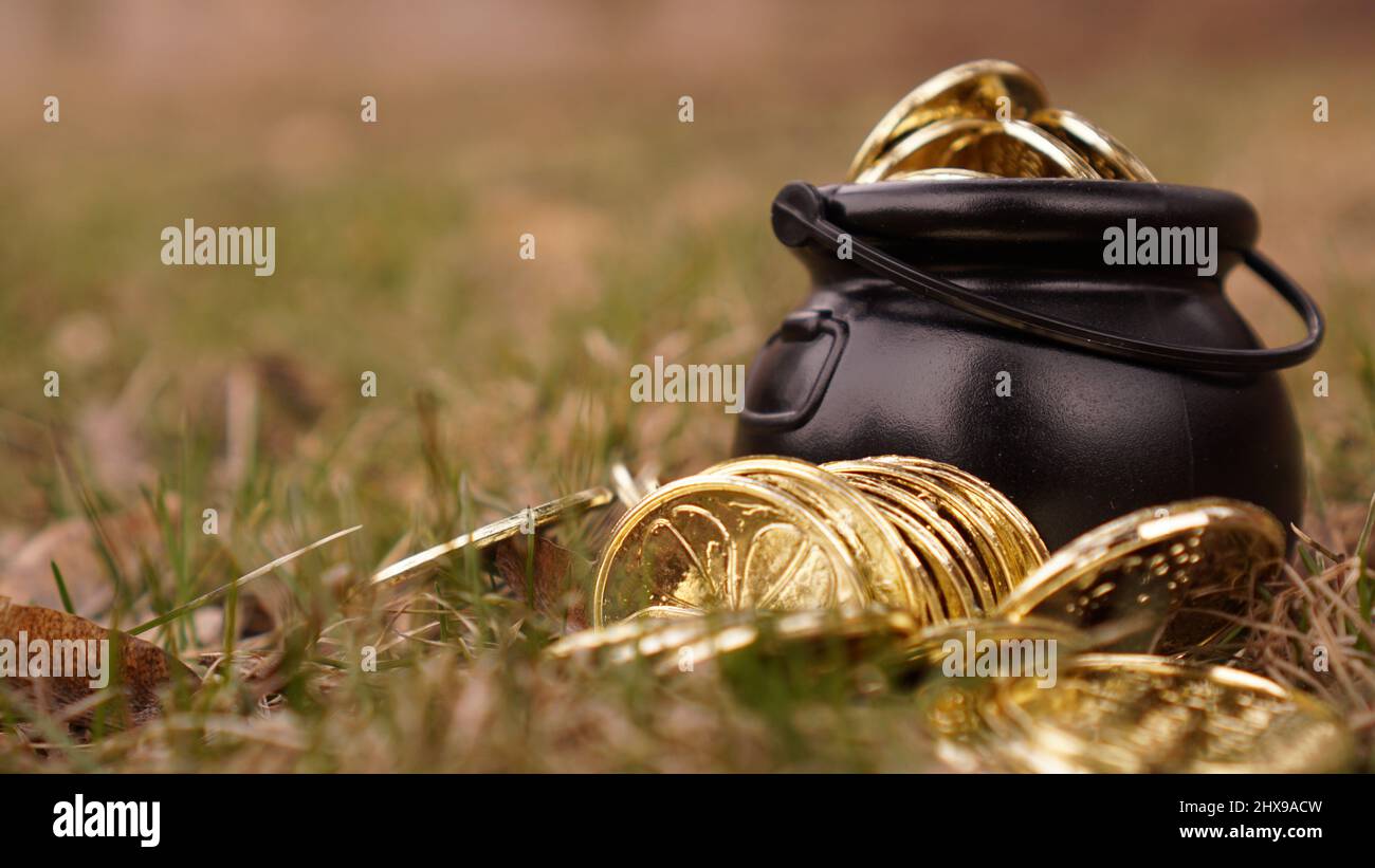 Real Leprechaun Gold