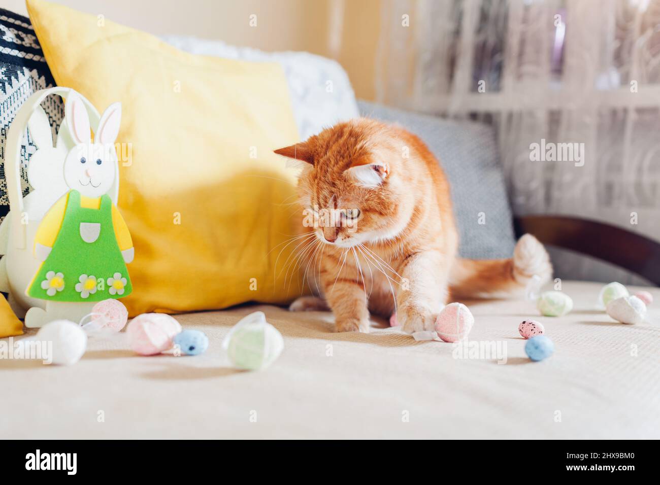 Cute ginger cat playing with Easter eggs at home. Pet having fun on ...