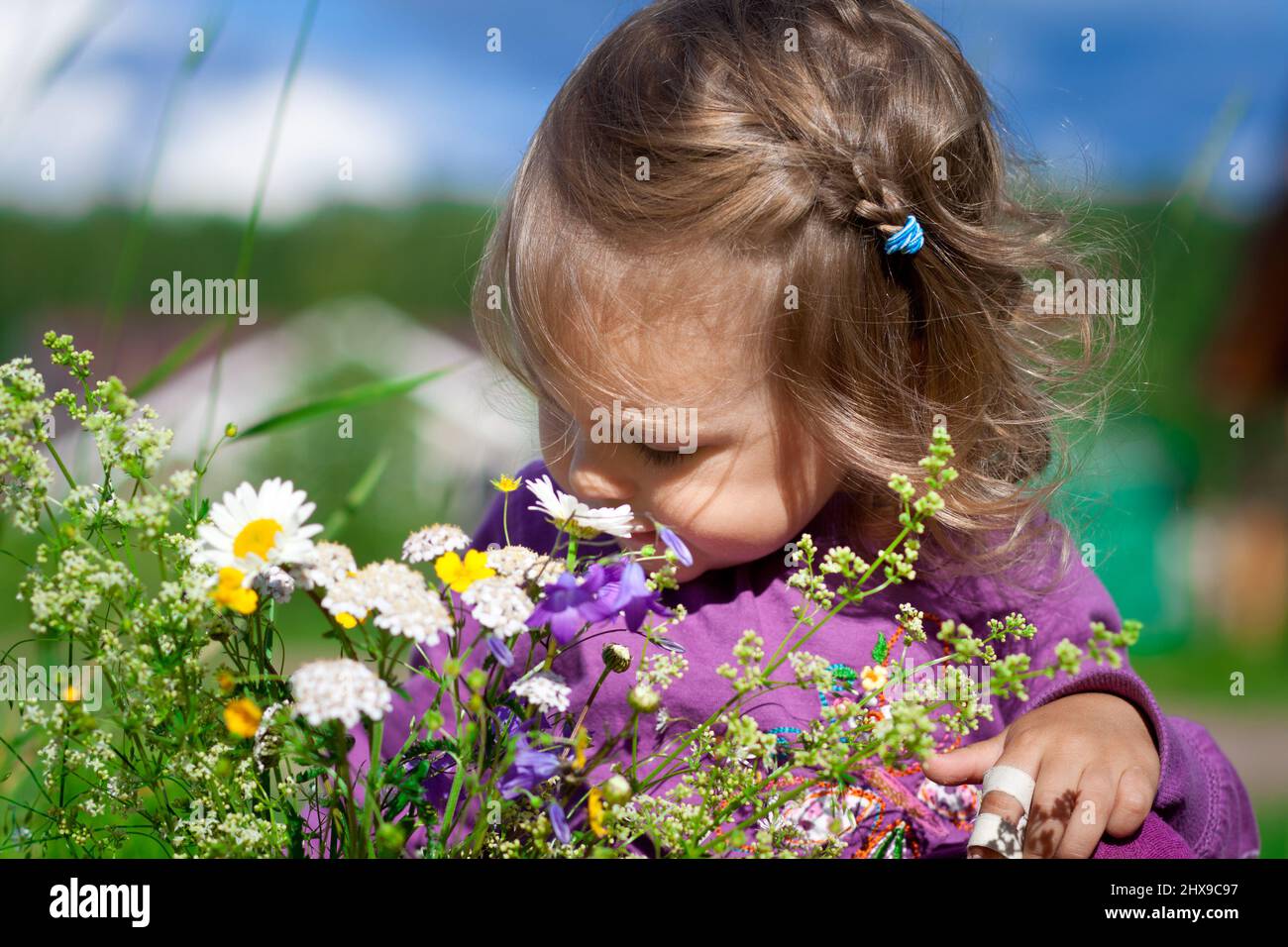 Cute baby girl smells flowers, summer time Stock Photo - Alamy