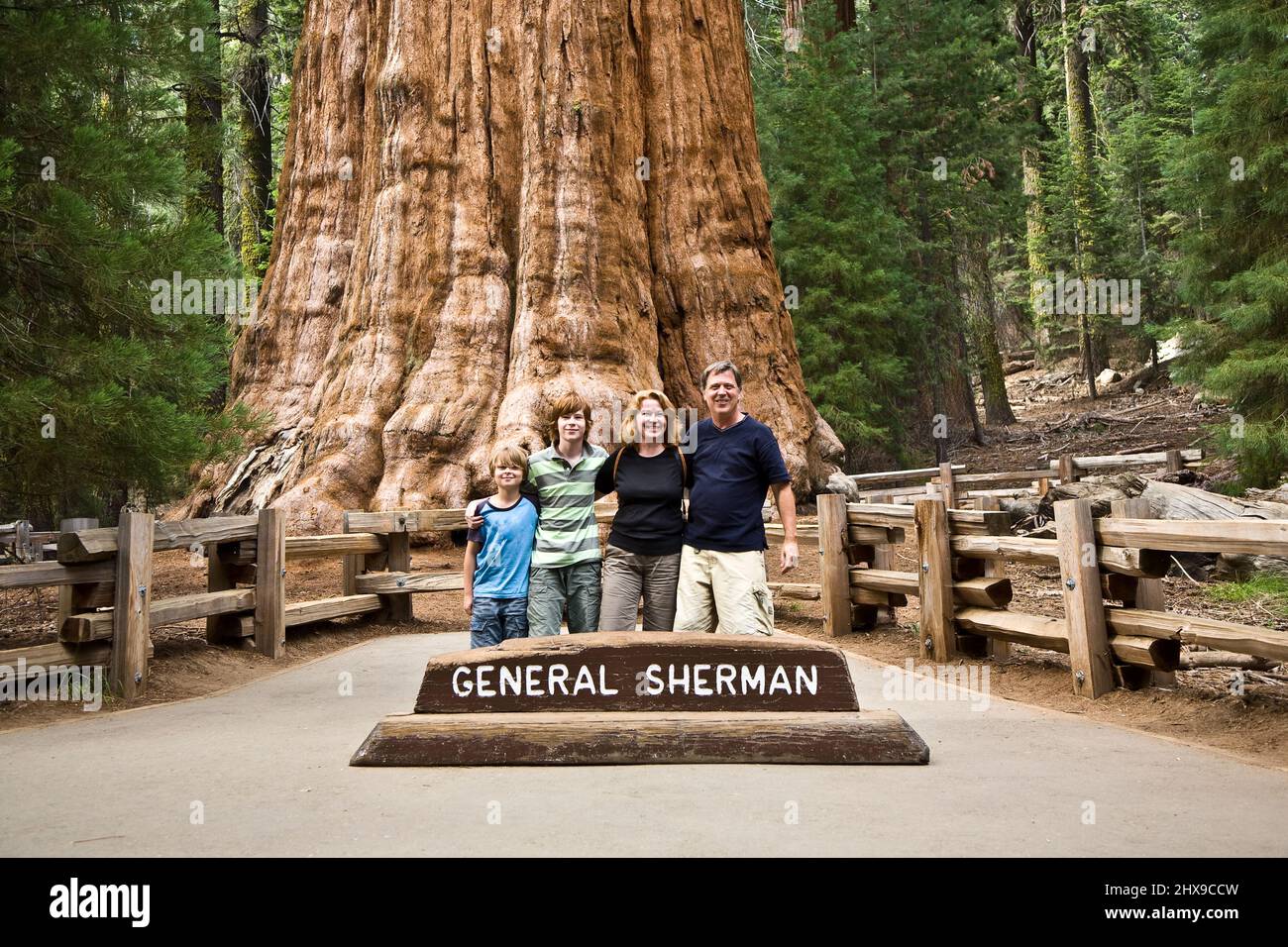 family is posing in Sequoia national Park with old huge Sequoia trees ...