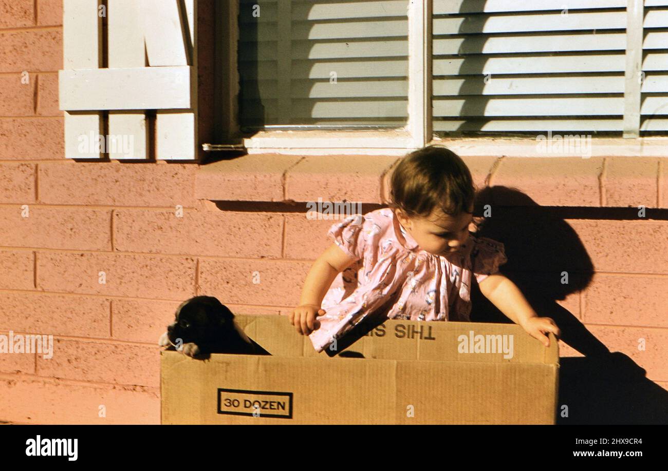 Baby in a box hi-res stock photography and images - Alamy