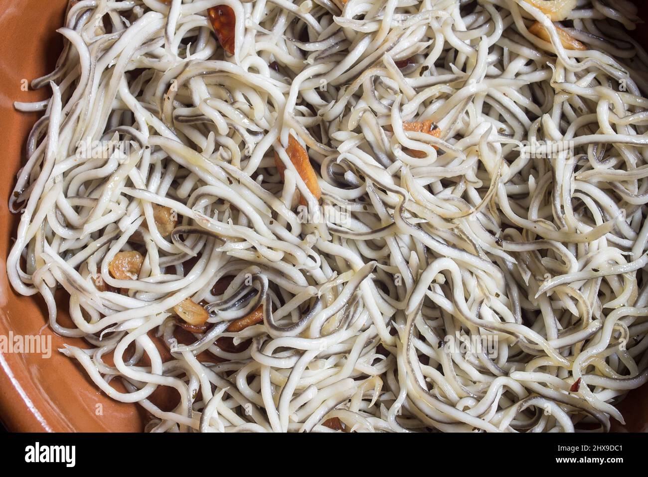 Elver eel hi-res stock photography and images - Alamy