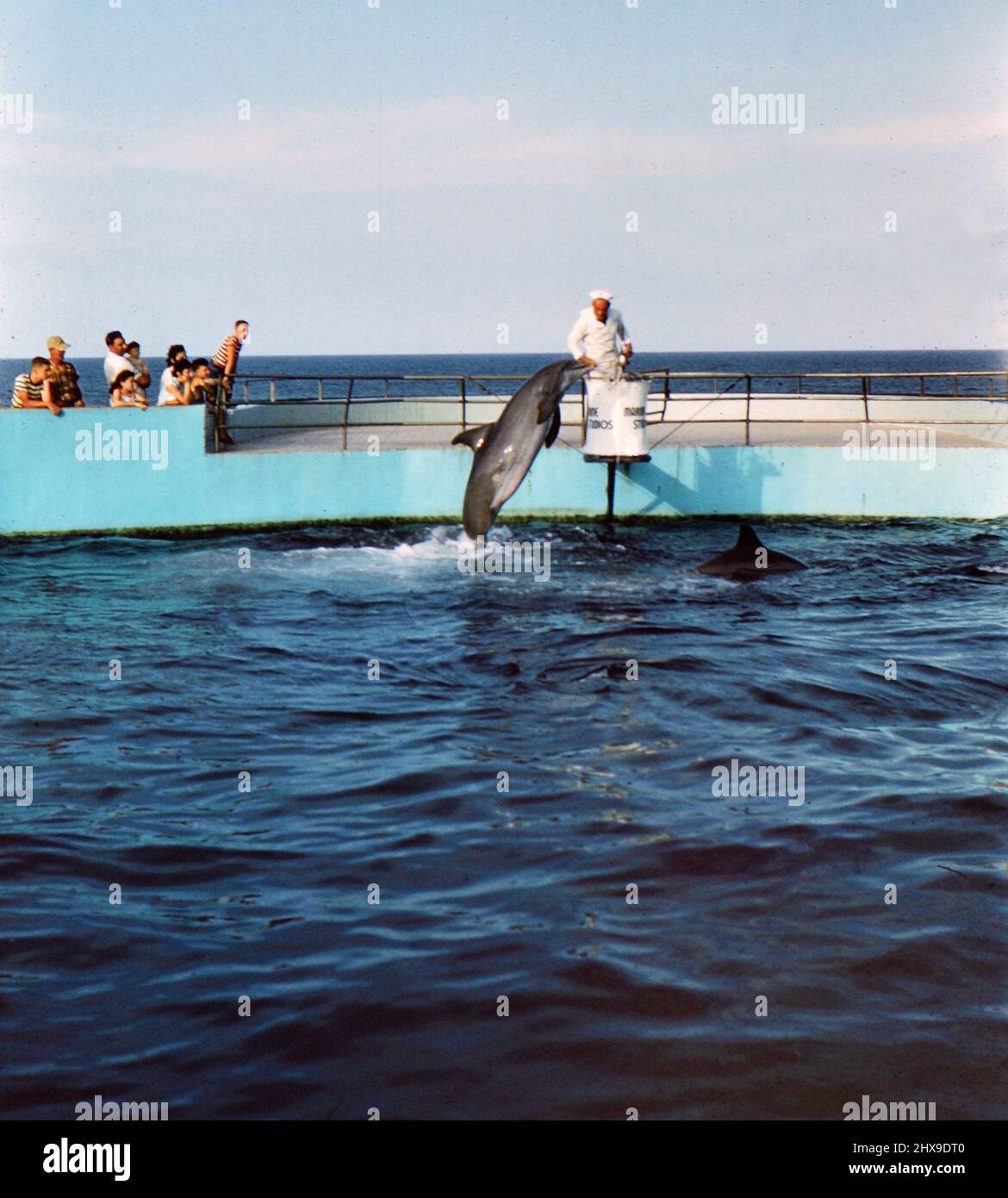 Marine Studios in Marineland Florida, a water mammal tourist attraction ...