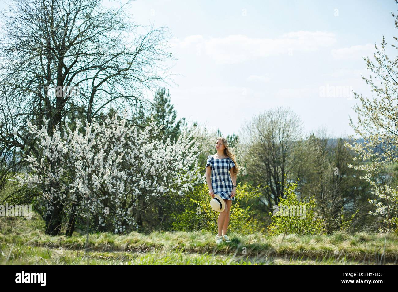 beautiful girl in a dress walking in the spring forest where the trees ...